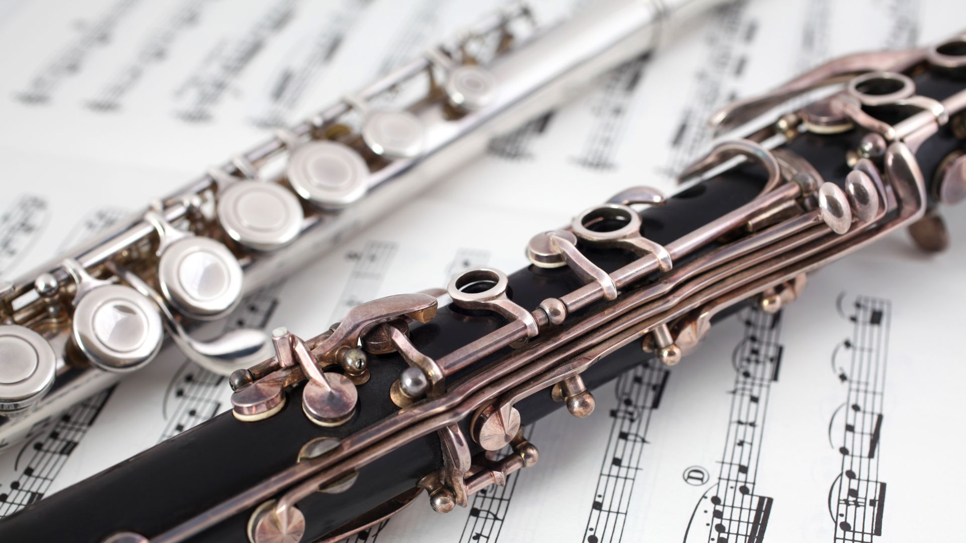 Fluit- & klarinetdag | Vlamo